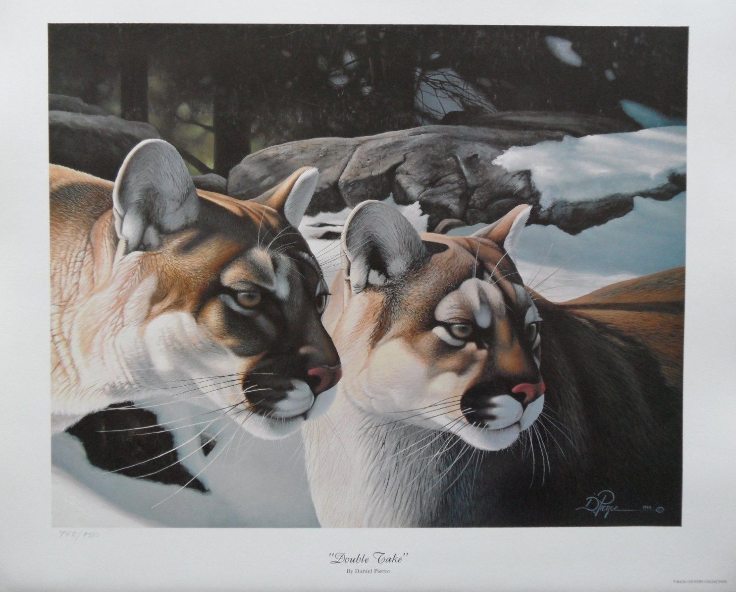 *Daniel Renn Pierce "DOUBLE TAKE"-Cougars-Winter-Wildlife-Art** | eBay