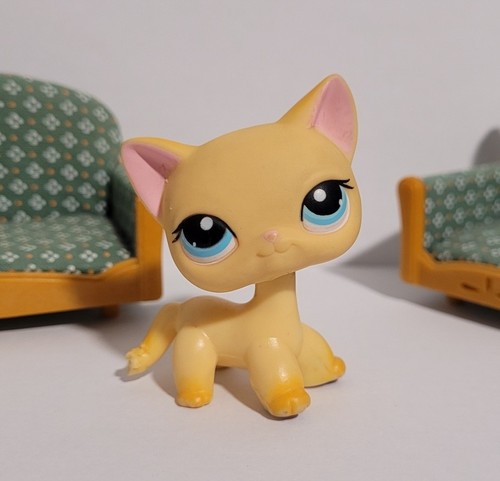 Littlest Pet Shop LPS Orange Shorthair Cat Kitten #339 Brooke Hayes ...