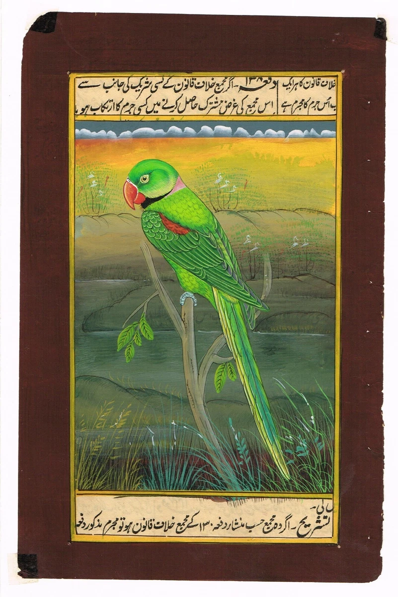 Indian Parrot Painting