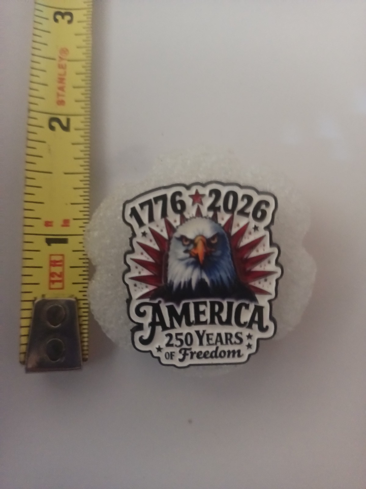 AMERICA 250 YEARS OF FREEDOM -PIN-2 OR MORE PINS $5.49 SHIPPING | eBay