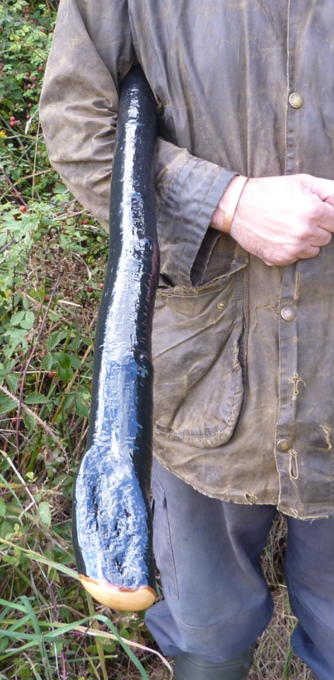 HUGE IRISH BLACKTHORN SHILLELAGH WALKING STICK CUDGEL WAR CLUB | eBay UK