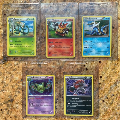 Pokemon TCG Black & White Holo Card Lot (Lightly Played-Near Mint) | eBay