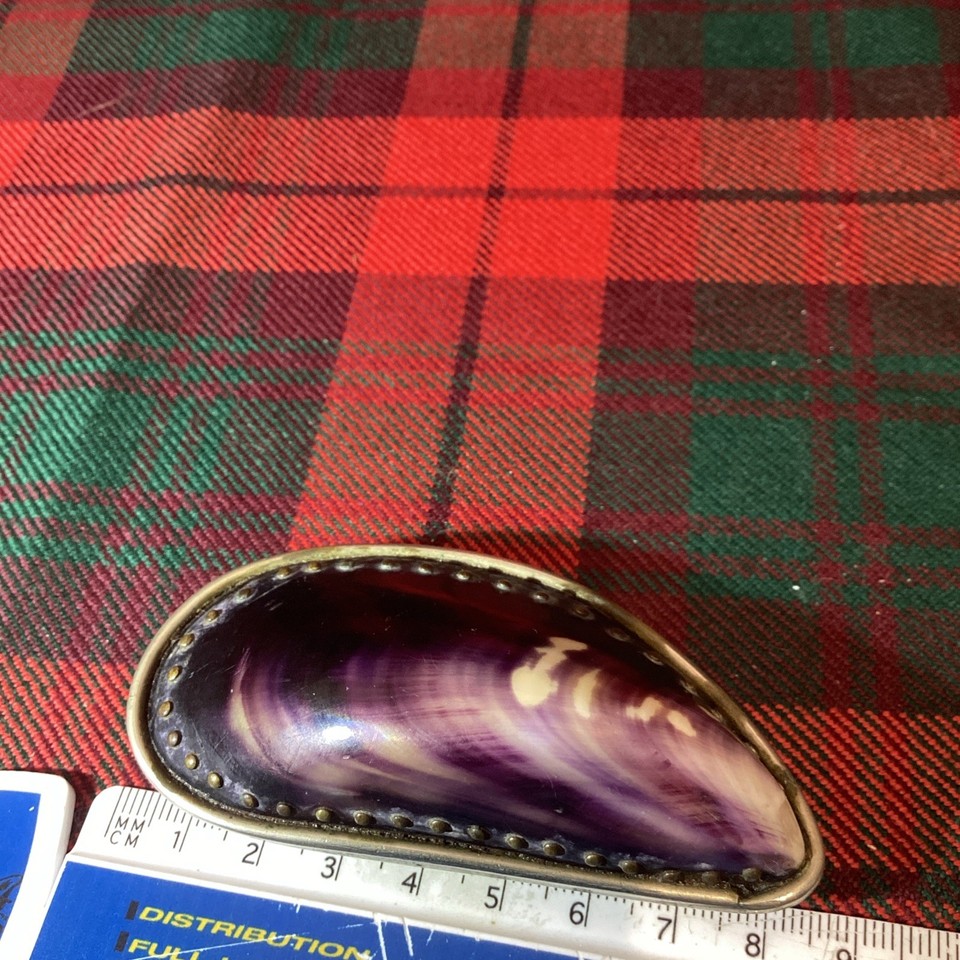 Stunning Mussel Shell Snuff Box. Novelty 9cm wide | eBay UK