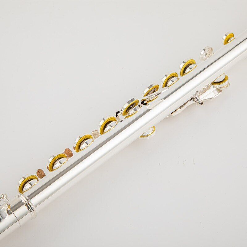 Flute Silver Plated 17 Keys Flute Open Hole E-Mech Flute Musical ...