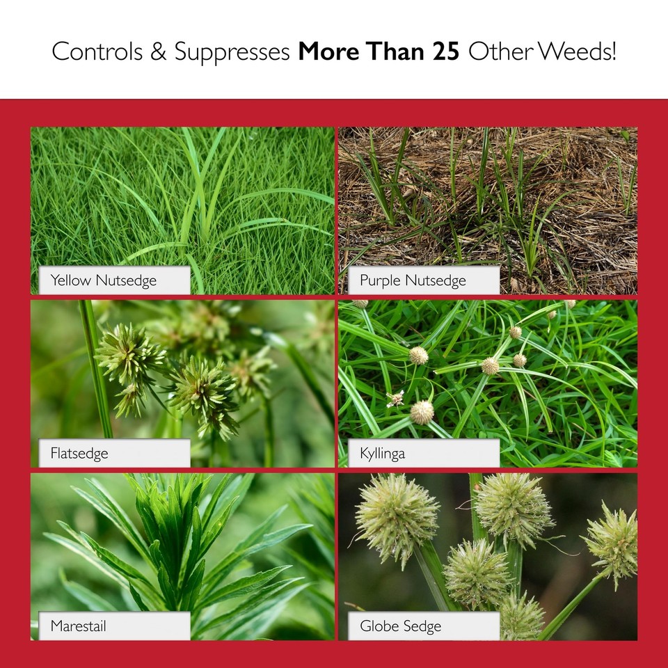 Herbicide - 1 Pack of 1.33oz Bottle of USA-Made Post-Emergent Nutsedge ...