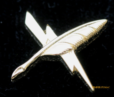 CRYPTOLOGY TECHNICIAN RATE HAT LAPEL VEST PIN UP BADGE US NAVY VETERAN ...