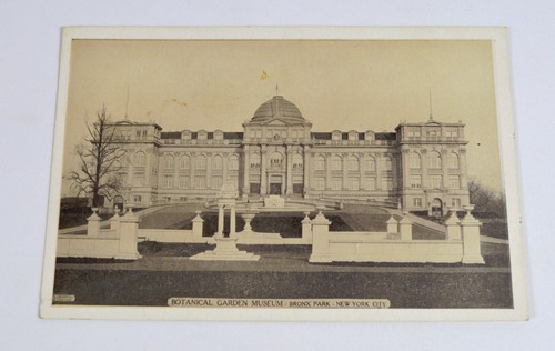 Vtg 30s Bronx Botanical Museum New York City NY Postcard Lumitone Photo ...