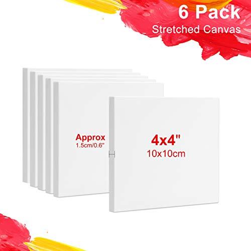 6 Pcs 4"x4"Mini Stretched Canvas White Blank Canvas 10x10cm Art ...