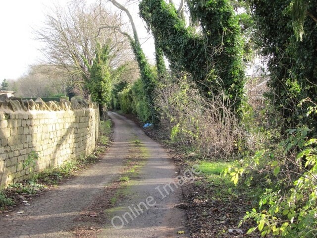 Photo 6x4 Footpath to the Canal Wantage The track looks like a private ...