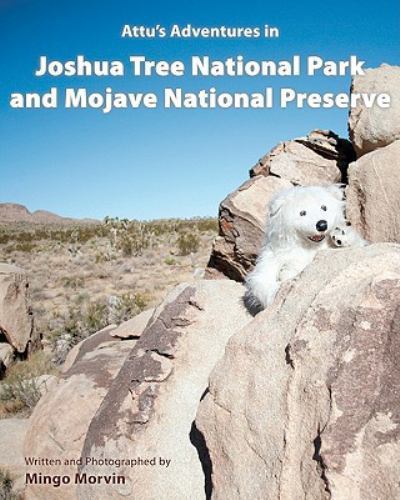 Attu's Adventures in Joshua Tree National Park and Mojave National ...