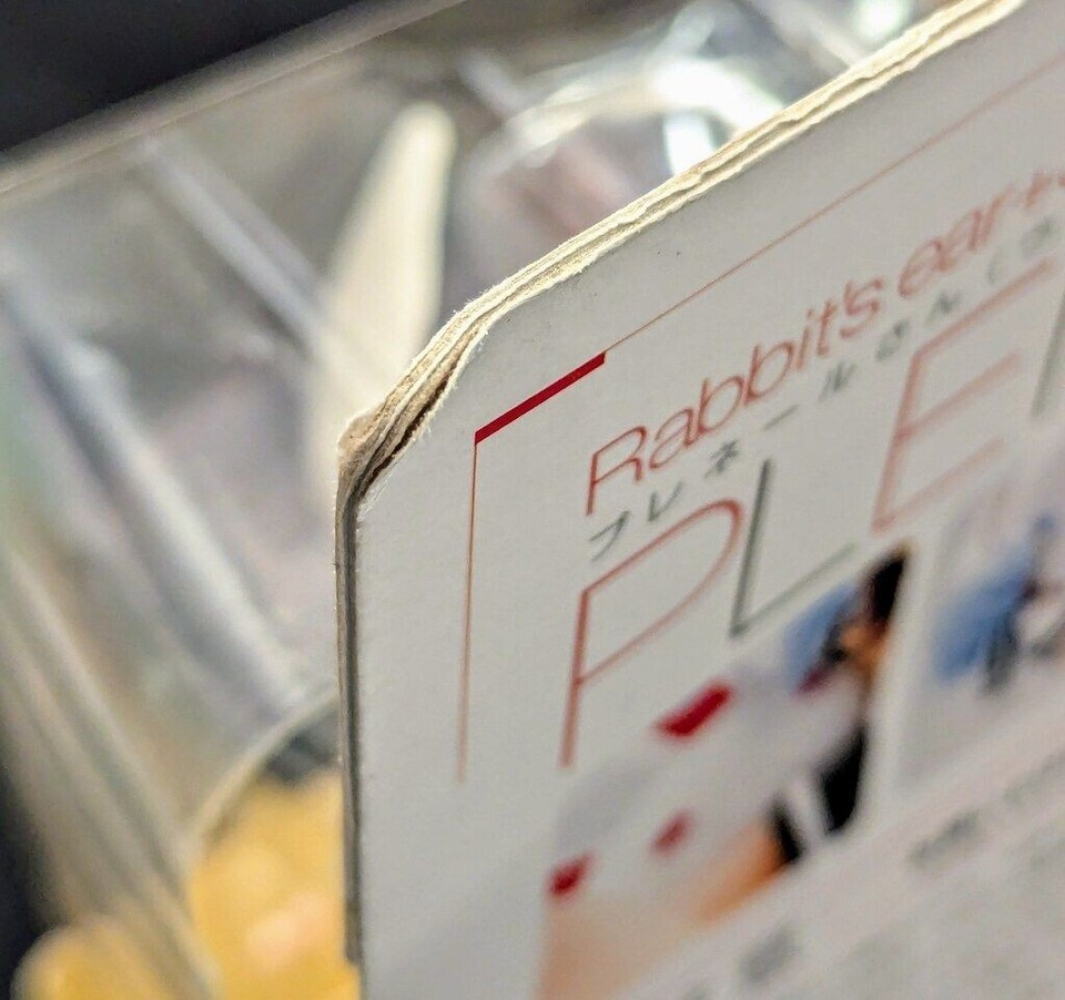 Disgaea Pleinair-san Usagi Figure Sailor Blouse School Swimsuit Glasses ...