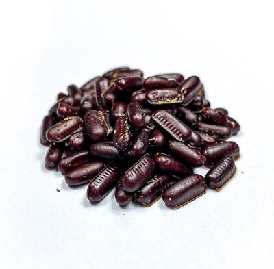 Red Runner Roaches (Ootheca Egg) / Turkestan Lateralis / Live Feeder ...