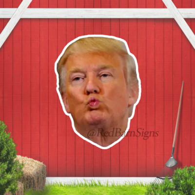 Donald Trump Face Car Vinyl Sticker | eBay