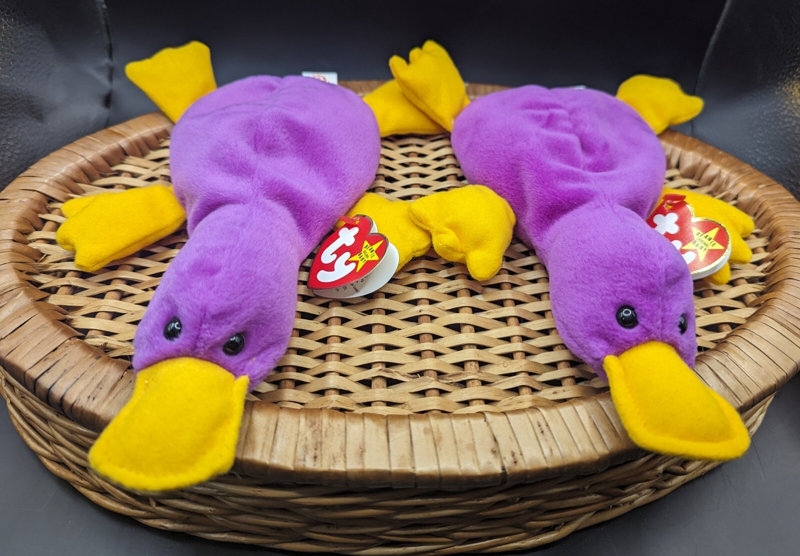 2 Beanie Babies Patti the Platypus TY Beanie Baby With Rare Tag Errors ...