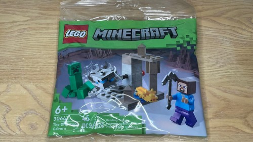 LEGO Minecraft 30647 The Dripstone Cavern. NEW/SEALED/IN HANDS READY TO ...