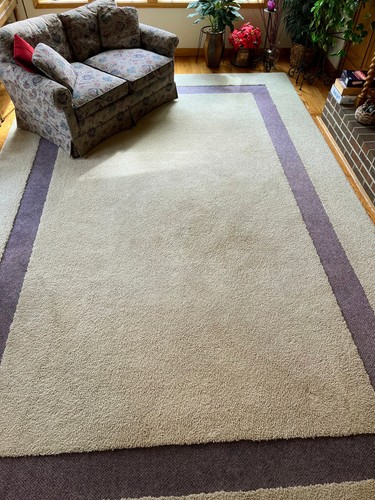 Custom-made Area Rug 9'6" x 14'8" beige/warm gray, nubby plush Nylon ...