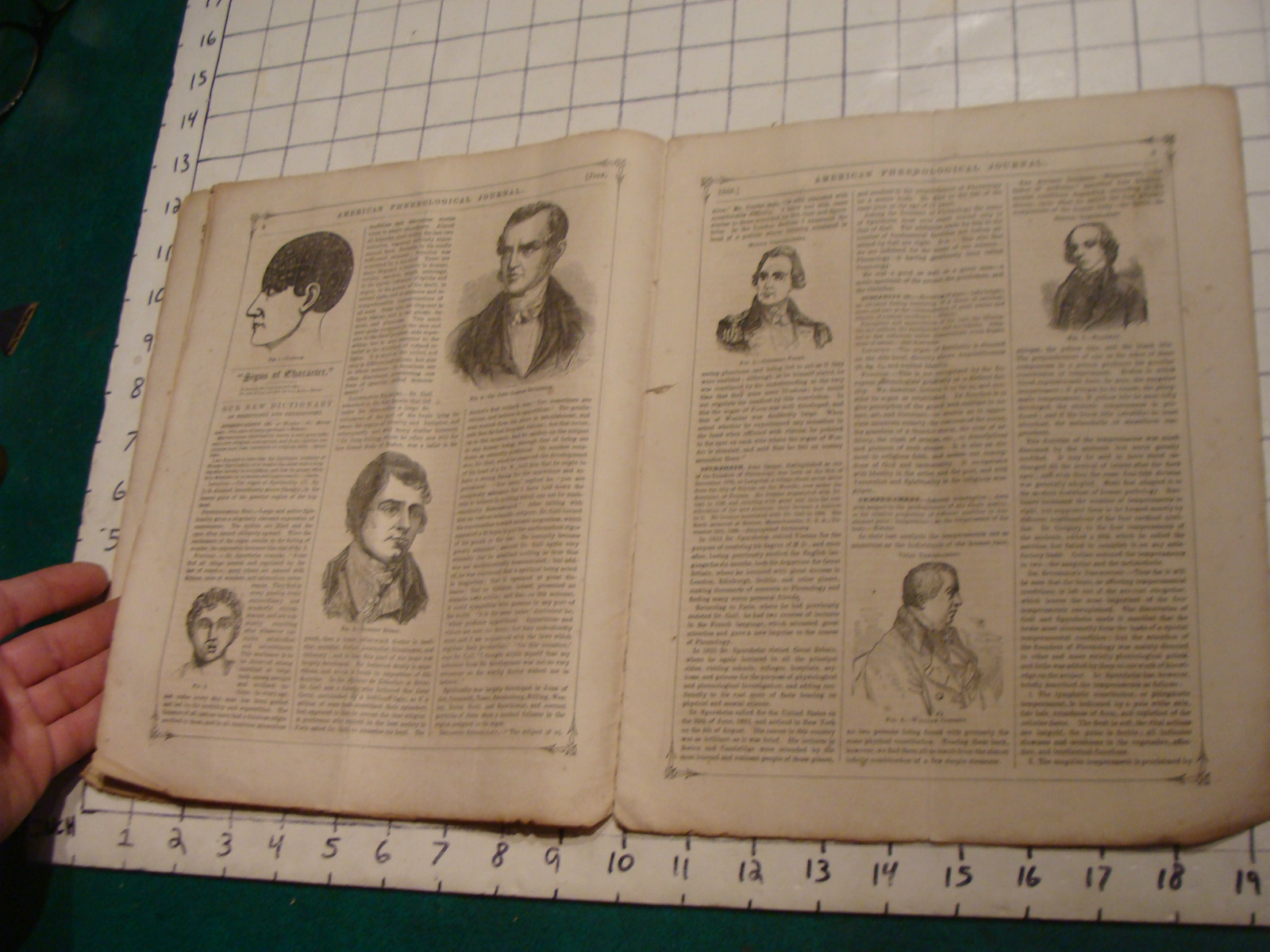AMERICAN PHRENOLOGICAL journal & Life Illustrated JULY 1866 | eBay