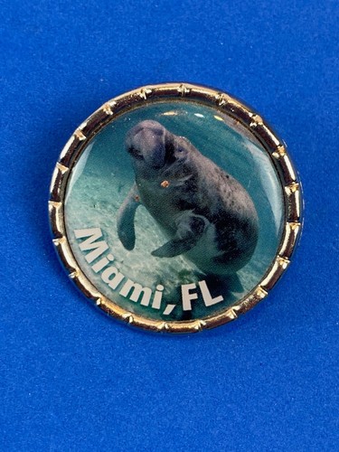 Pinback MIAMI FLORIDA FL Pin BUTTON Badge BEACH Sun Manatee | eBay