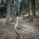 Custom Handmade 36 inche Carbon Steel Blade Khopesh Sword Hunting Sword ...