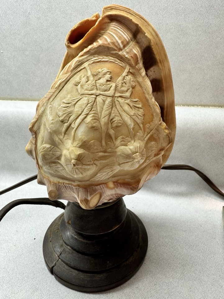 Antique Hand Carved Conch Shell Cameo Lamp Night Light 2 lamps | eBay