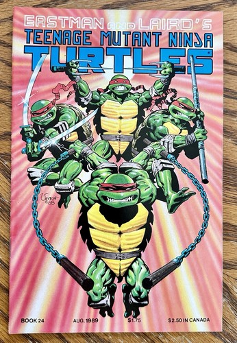 Teenage Mutant Ninja Turtles #24 NM TMNT 1989 Mirage Studios Comics ...