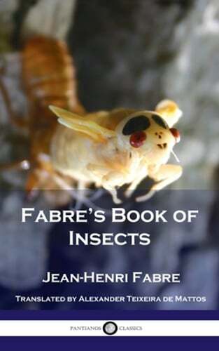 Fabre's Book of Insects by Jean Henri Fabre: New 9781789873979| eBay