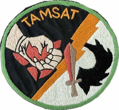 POST WAR 1990's MAC V SOG CCN RECON TEAM MICHIGAN PATCH (785) | eBay