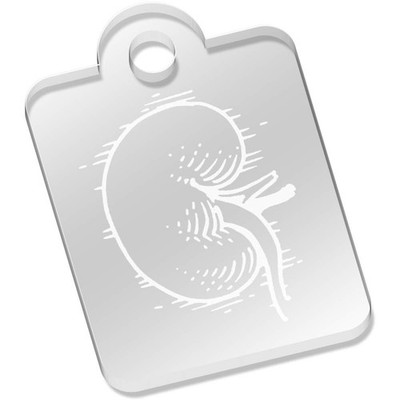 'Kidney' Laser-Engraved Clear Acrylic Keyring / Keychain (AK029030) | eBay