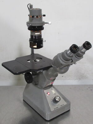 Microscopes - Inverted Phase Contrast Microscope