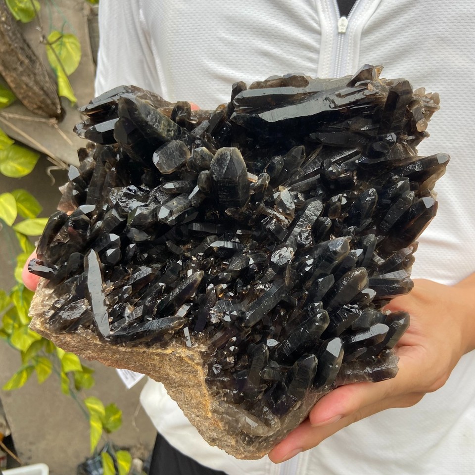 7LB Large Natural Smoky Black Quartz Crystal Cluster Raw Mineral ...