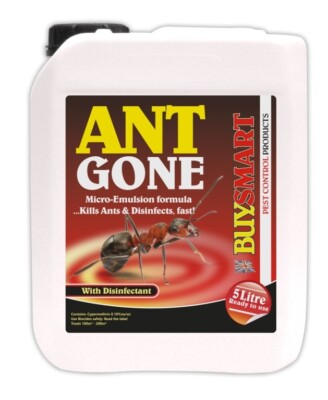 Buysmart Ant Gone Ant And Insect Killer With Disinfectant 5L Jerrycan ...
