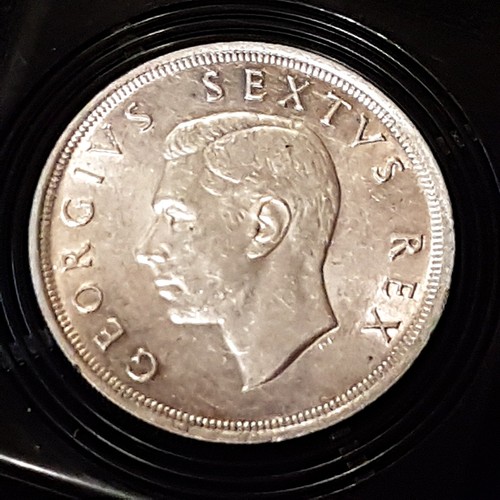 Münze; Südafrika, 5 Shillings, 1952, George VI., Silber, 500/1000, II ...