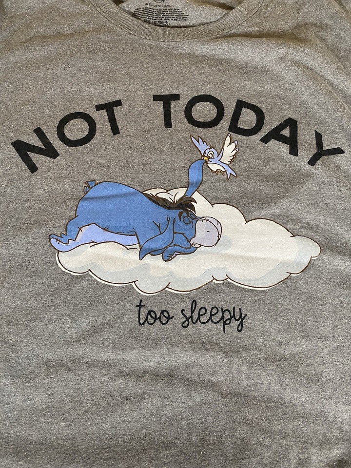NWT Disney Eeyore Not Today Too Sleepy T-Shirt Womens 2XL Tee Gray | eBay
