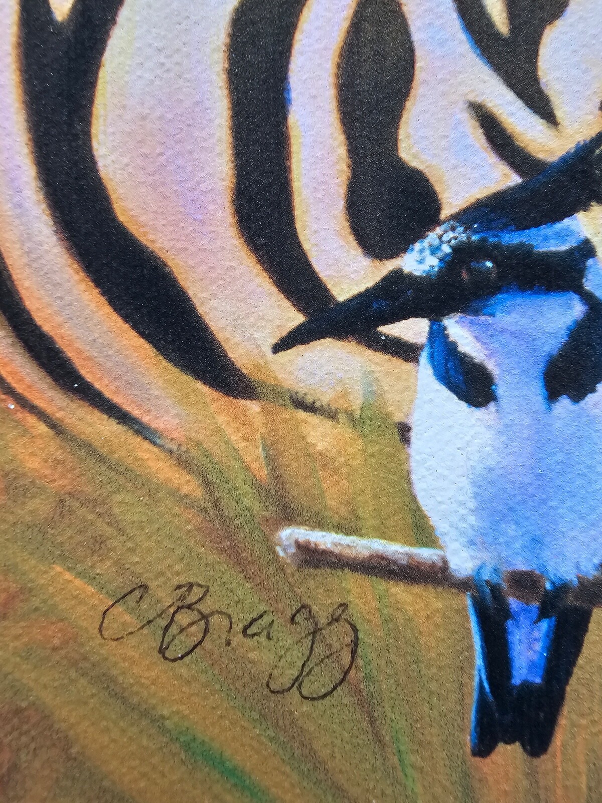 Charles Lynn Bragg Africain Animal Montage Main Signée Numéroté Africa ...