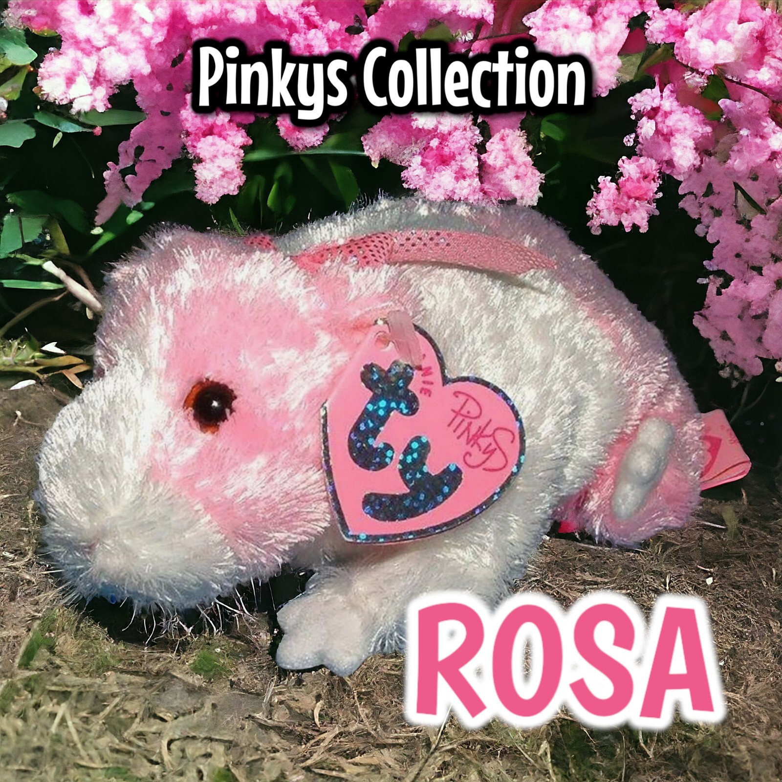 Ty Rosa All Pink Guinea Pig Silky (6") Pinkys Beanie Baby 2004 Boys ...