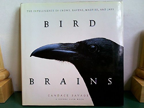 Bird Brains: The Intelligence of Crows, Ravens, Magpies, and Jays ...
