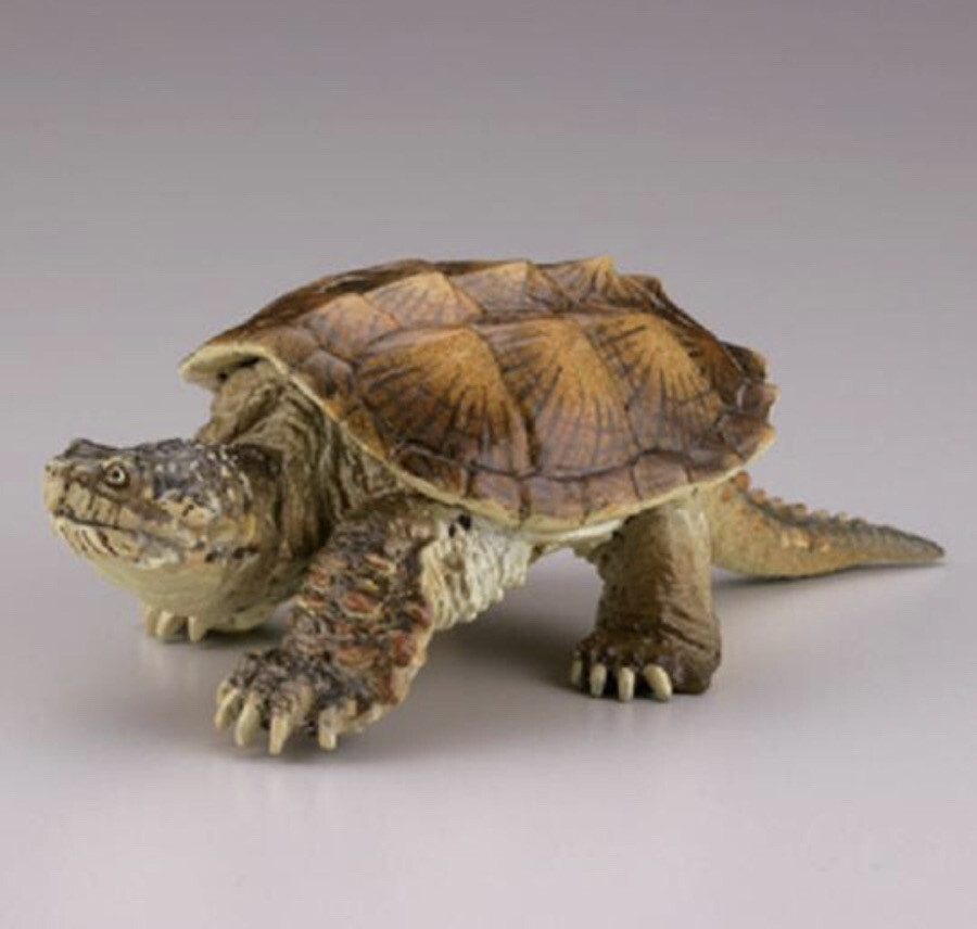 Kaiyodo Capsule Museum Q Japan Exclusive Snapping Turtle Figure | eBay