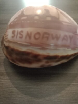 Vintage Seashell Souvenir From Norway | eBay