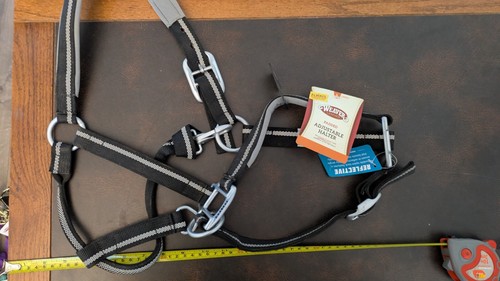 Weaver Leather Reflective Padded Adjustable Halter | eBay