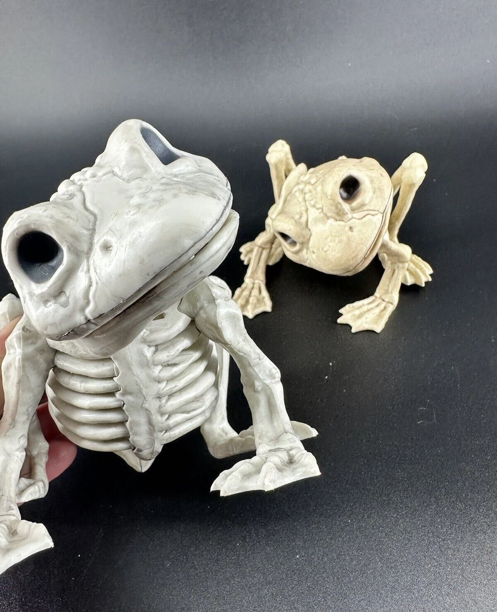 Toad Skeleton