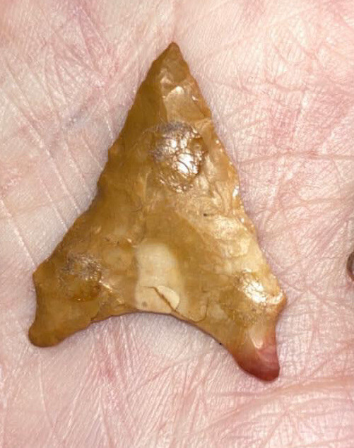 authentic arrowheads pre 1600 AMAZING! Colorful Paleo Fluted Dalton ...
