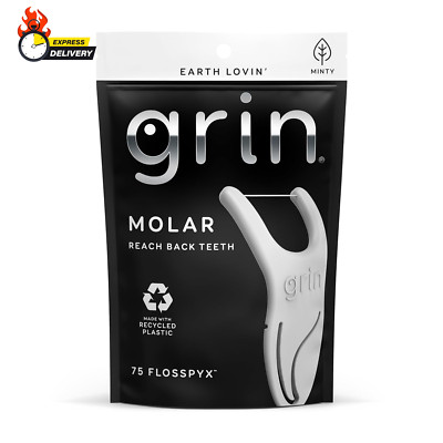 Molar Flosspyx, Floss Picks, 75 Count, Dental Flossers, Minty Flavor ...