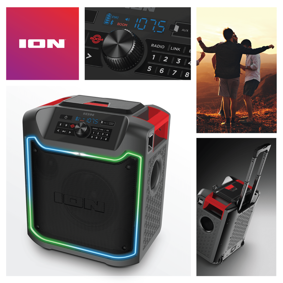 ION Pathfinder 280 All-Weather Speaker with Wide-Angle 280 Sound (Cable ...