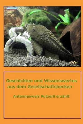 Geschichten Und Wissenswertes Aus Dem Gesellschaftsbecken: Antennenwels ...