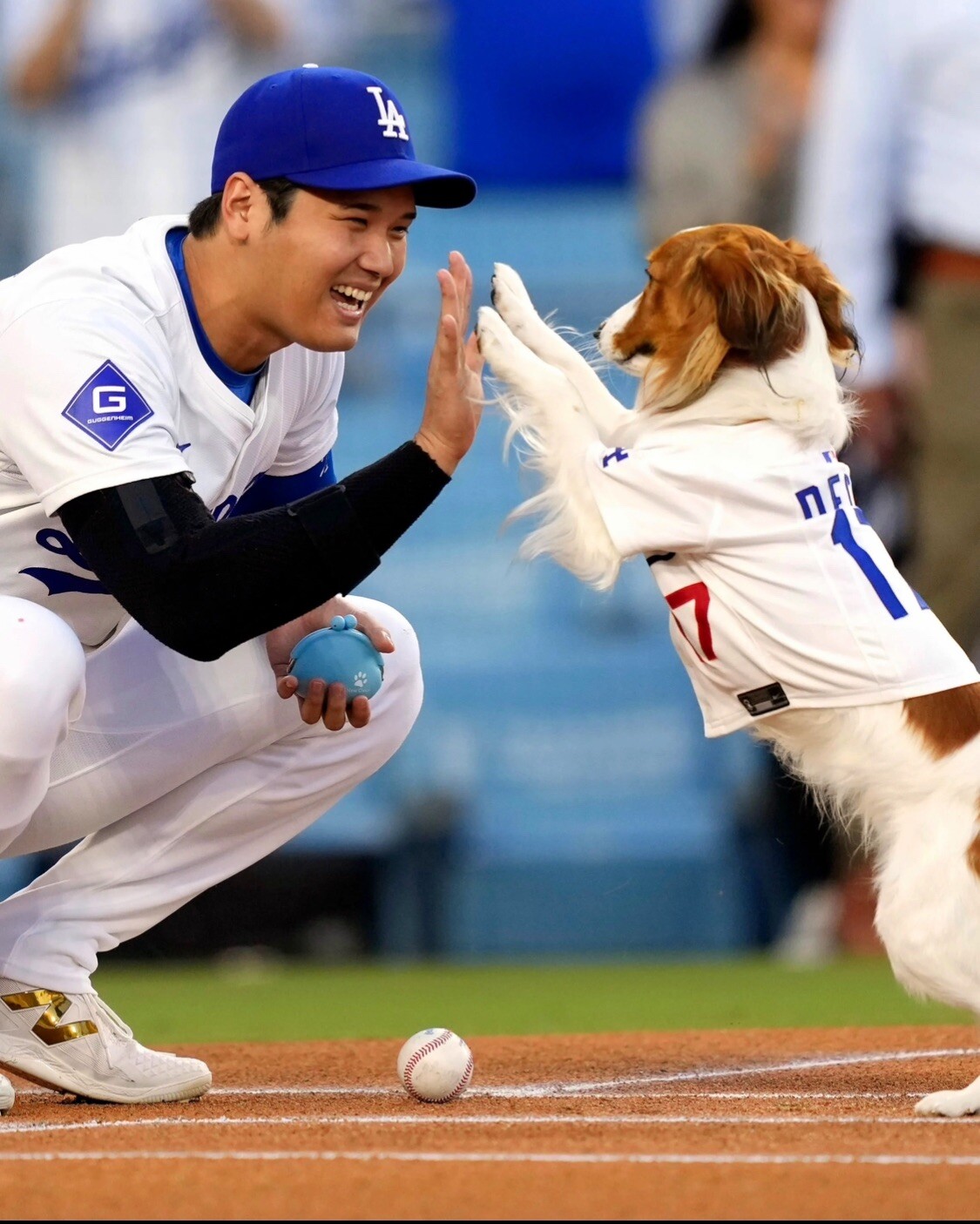 8x10 Photo SHOHEI OHTANI & DECOY Los Angeles Dodgers MVP Dog Dutch ...