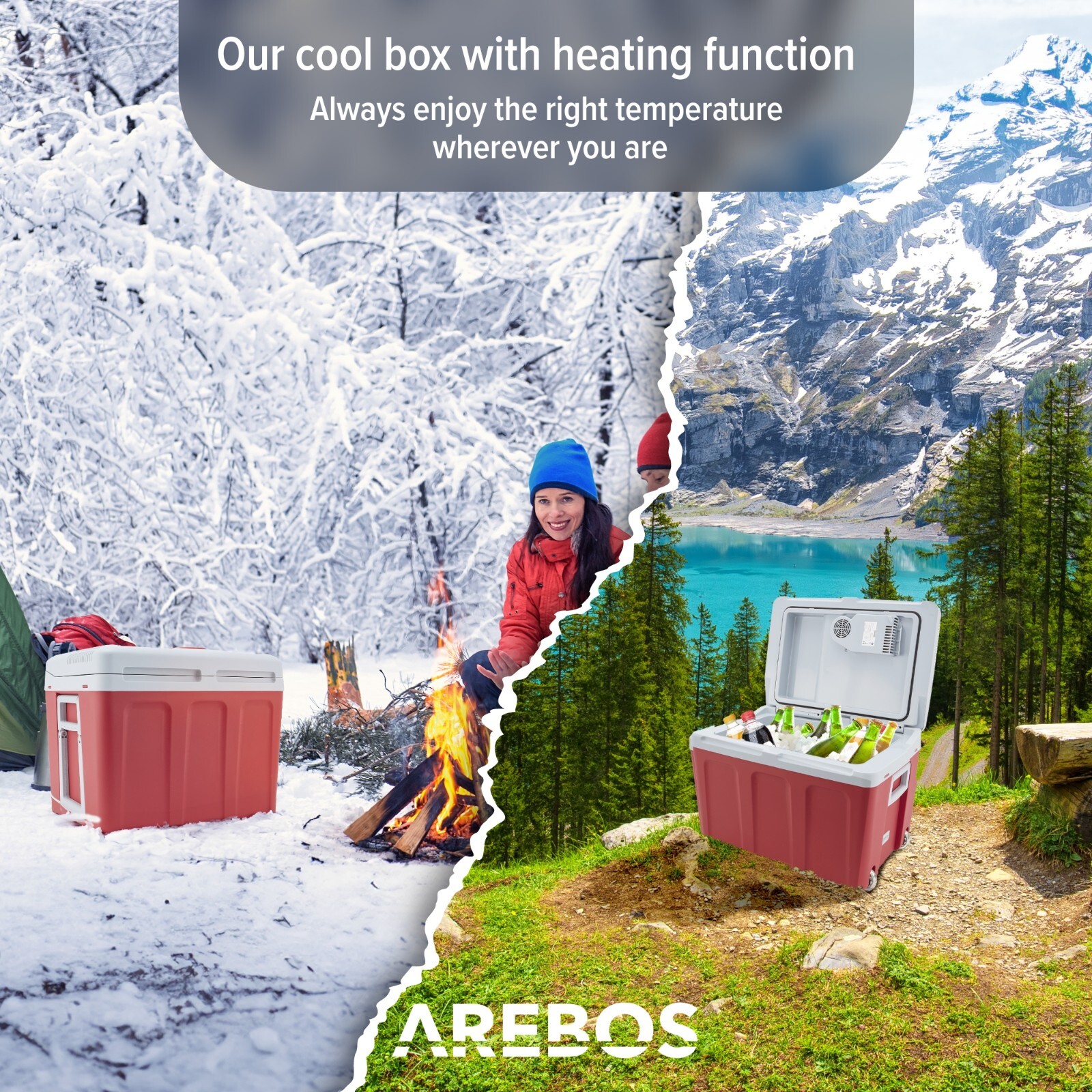 AREBOS cool box 40L car thermoelectric warming box 12V 230V ...
