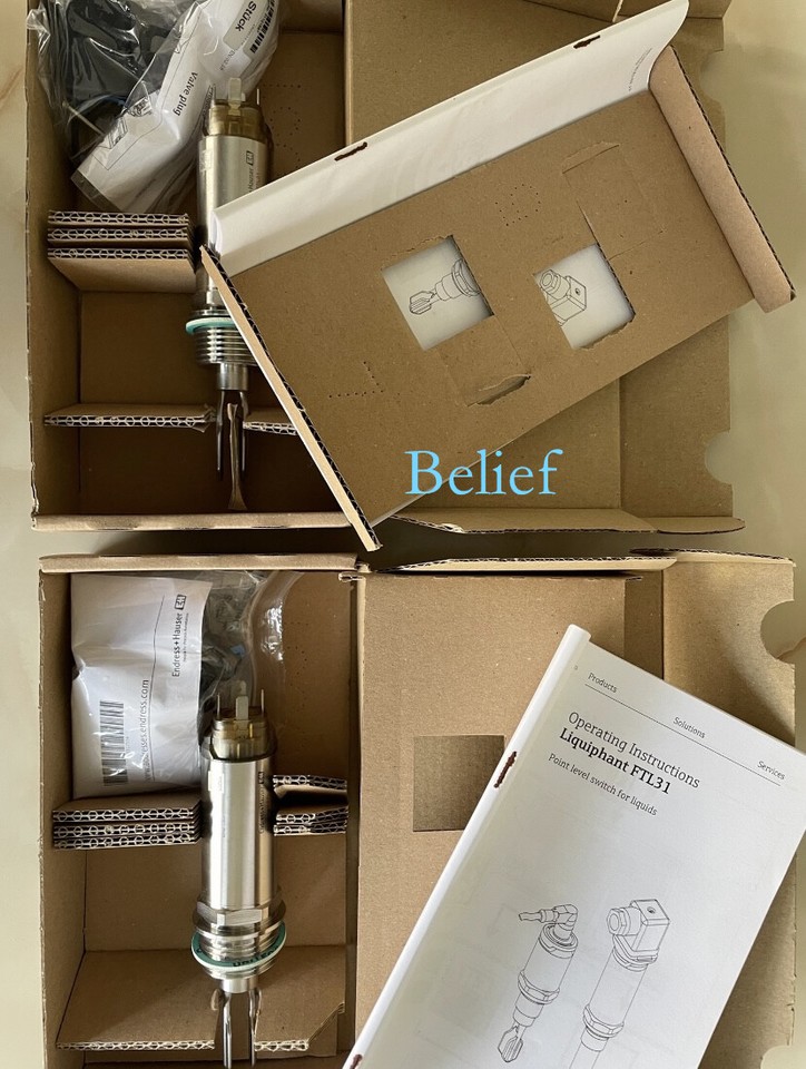 1pc E+H FTL31-11C6/0 brand new Tuning Fork Level Sensor(FedEx/DHL) | eBay