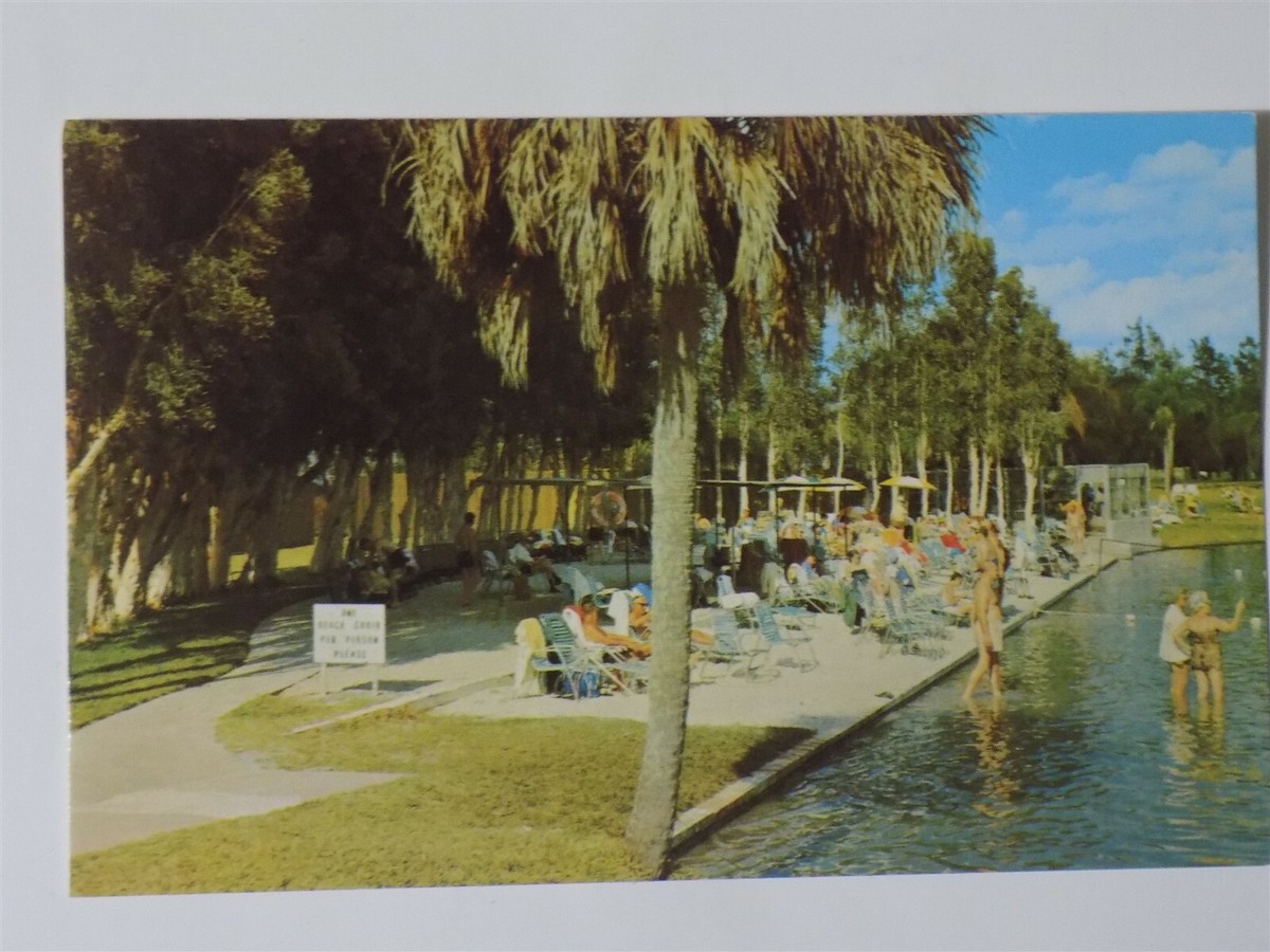 Mineral Springs Venice Fl