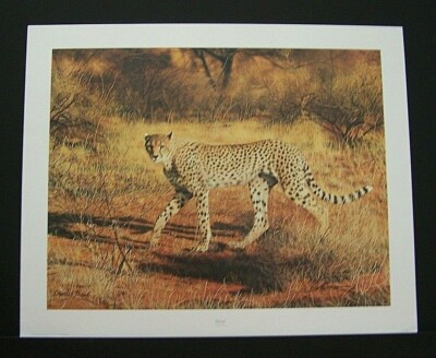 Charles Frace Signed Limited Edition Print "Cheetah" | eBay