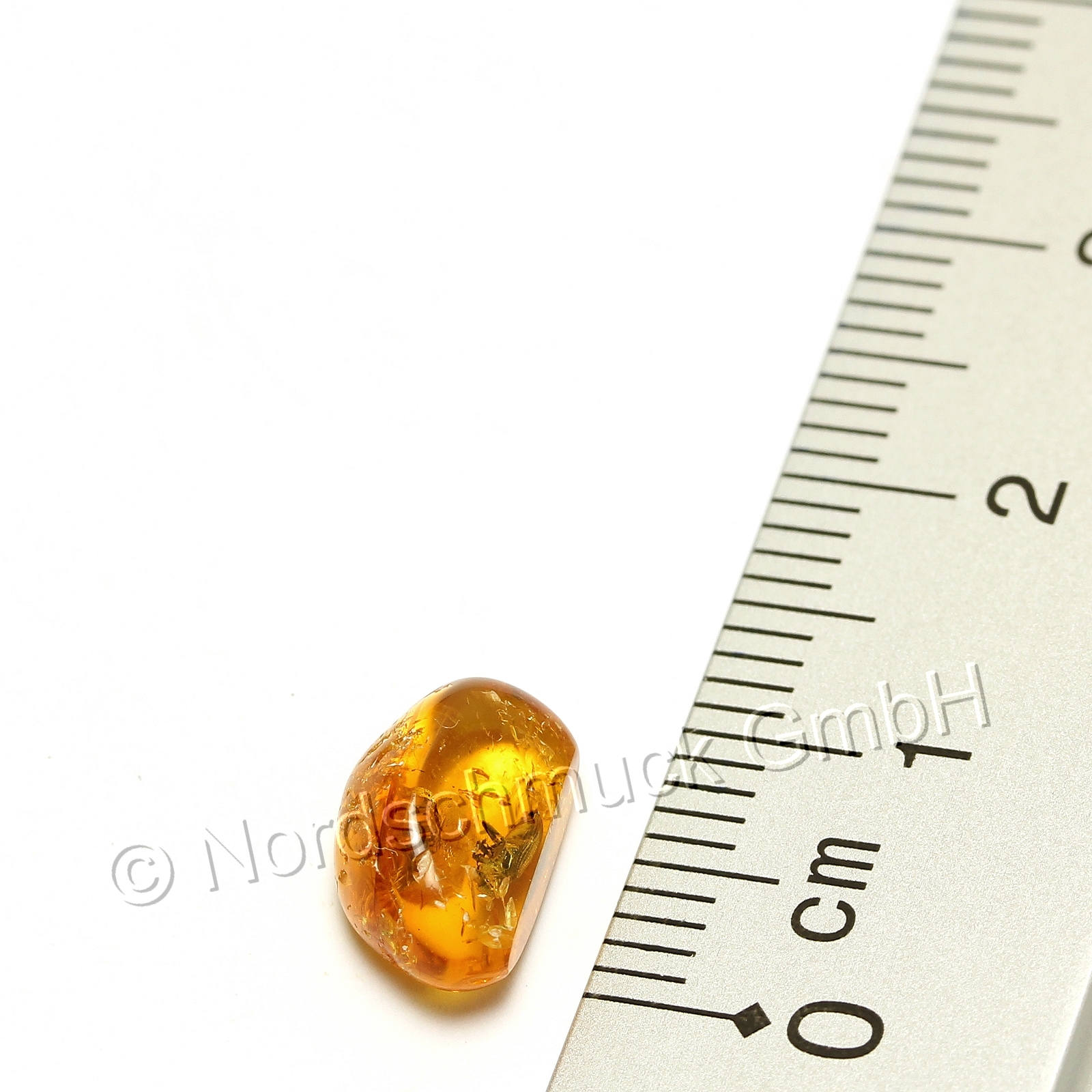 Natur Bernstein Inkluse Inklusen Einschluss Insekt, Pochkäfer ...